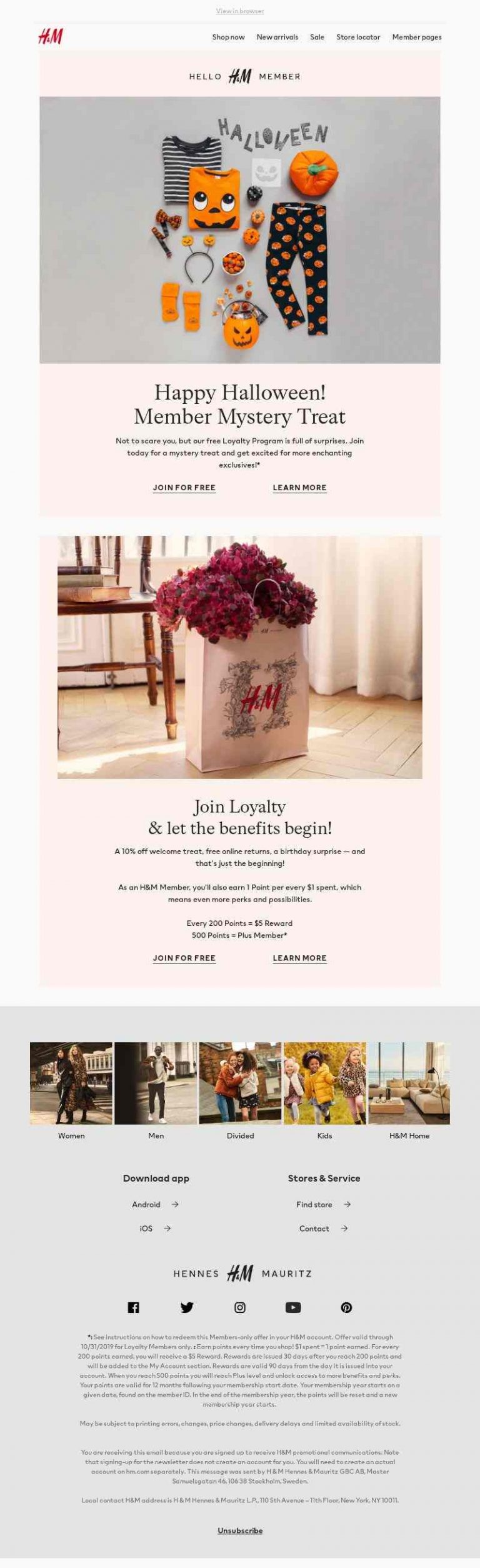 Top Newsletter Examples from Brands that Killed It - Unlimited Graphic ...