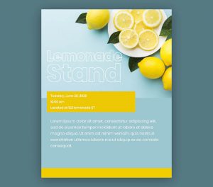 Flyer Tips: Professional Business Design for Beginners - Unlimited ...