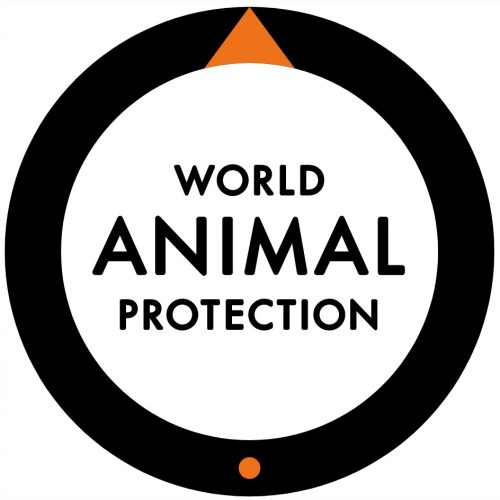 Nonprofit and Charity Logos Designed with Purpose - Unlimited Graphic ...