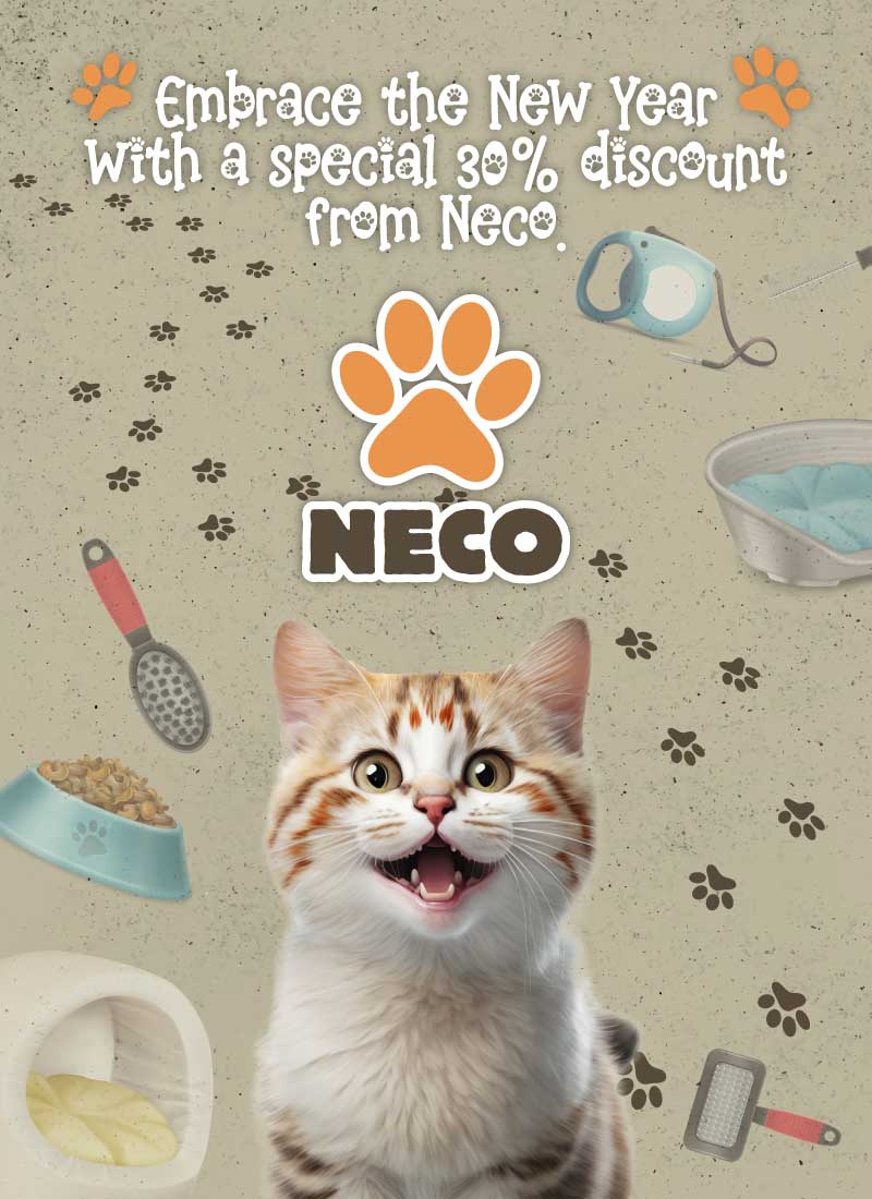 12 Tips in Creating a Festive New Year Poster - Unlimited Graphic ...