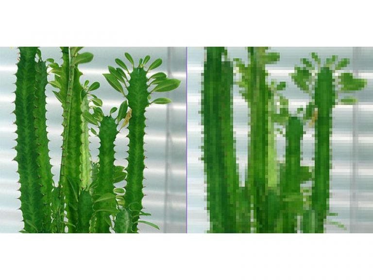 A Guide to Image Compression - Unlimited Graphic Design Service