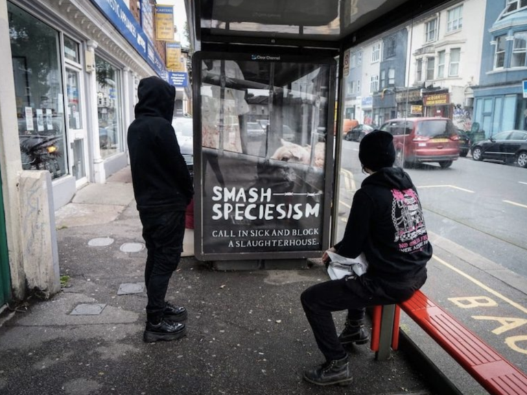 13 Bus Stop Ads That'll Make Your Wait Worthwhile - Unlimited Graphic ...