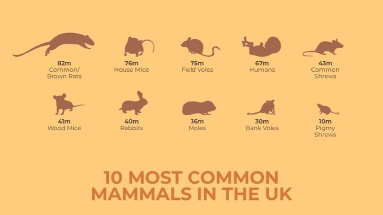 15 Best Data Visualization Examples (and Why They're Important ...