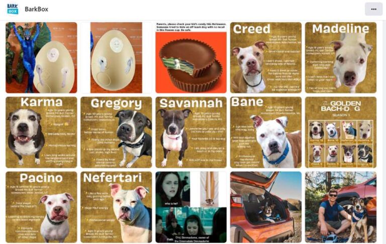 23 Facebook Business Page Design Examples for Inspiration - Unlimited ...