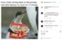 9 Hilarious Examples of Branded Memes - Unlimited Graphic Design Service