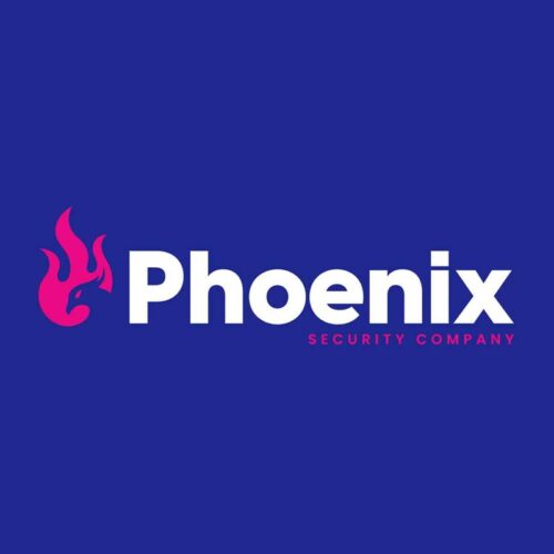 COPY These 9 Phoenix Logos For 2023 - Unlimited Graphic Design Service