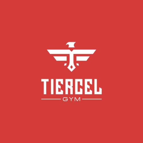 Soar to New Heights with These Hawk Logos - Unlimited Graphic Design ...