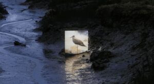 12 AI Artists Who Exemplify the Weird World of AI Art - Unlimited ...