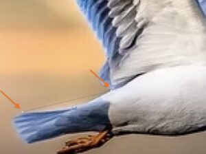 How to Remove Background in Gimp: 5 Methods - Unlimited Graphic Design ...