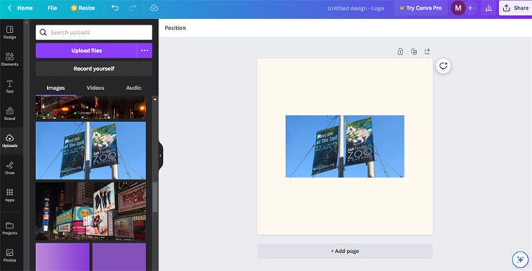 How to Use Canva for Beginners: A Guide to Crafting Professional ...